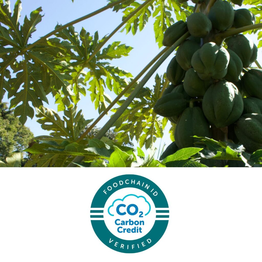 Home - FoodChain ID Brasil