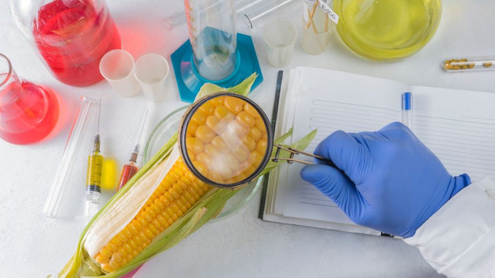 World-Class Food Testing and Laboratory Services | FoodChain ID