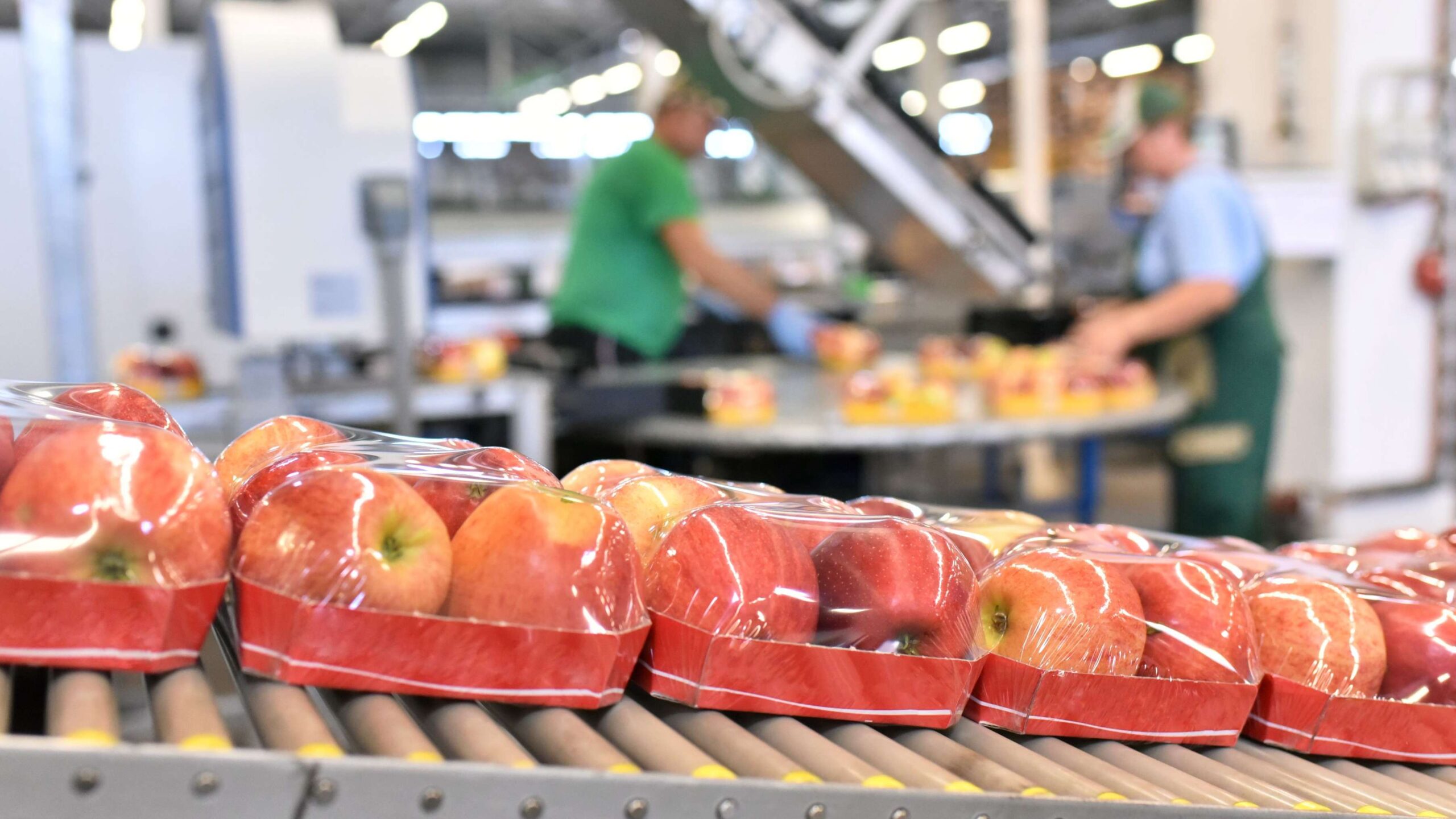 Packaging Compliance - FoodChain ID