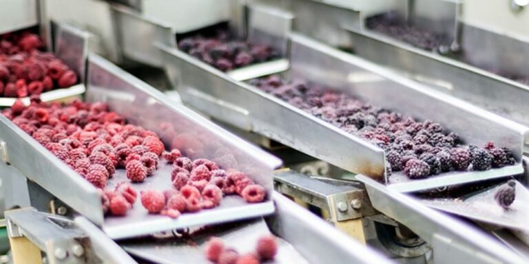 Certification and Auditing for the Food Industry | FoodChain ID