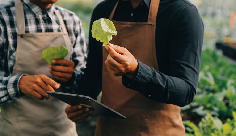 Regulatory Database Digital Solutions: Regulatory Library | FoodChain ID