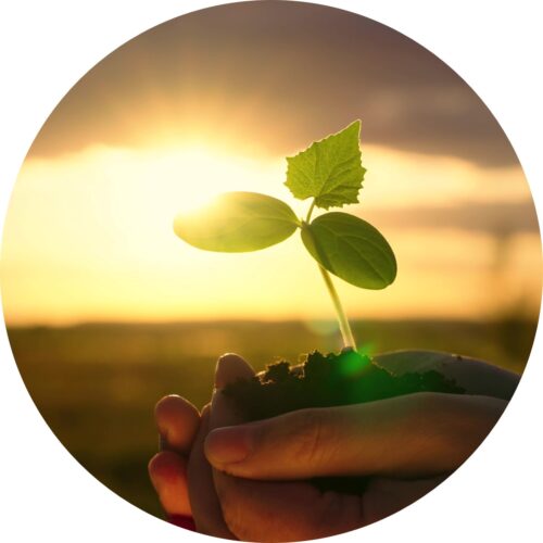 Regenerative Organic Certified® ROC Certification | FoodChain ID